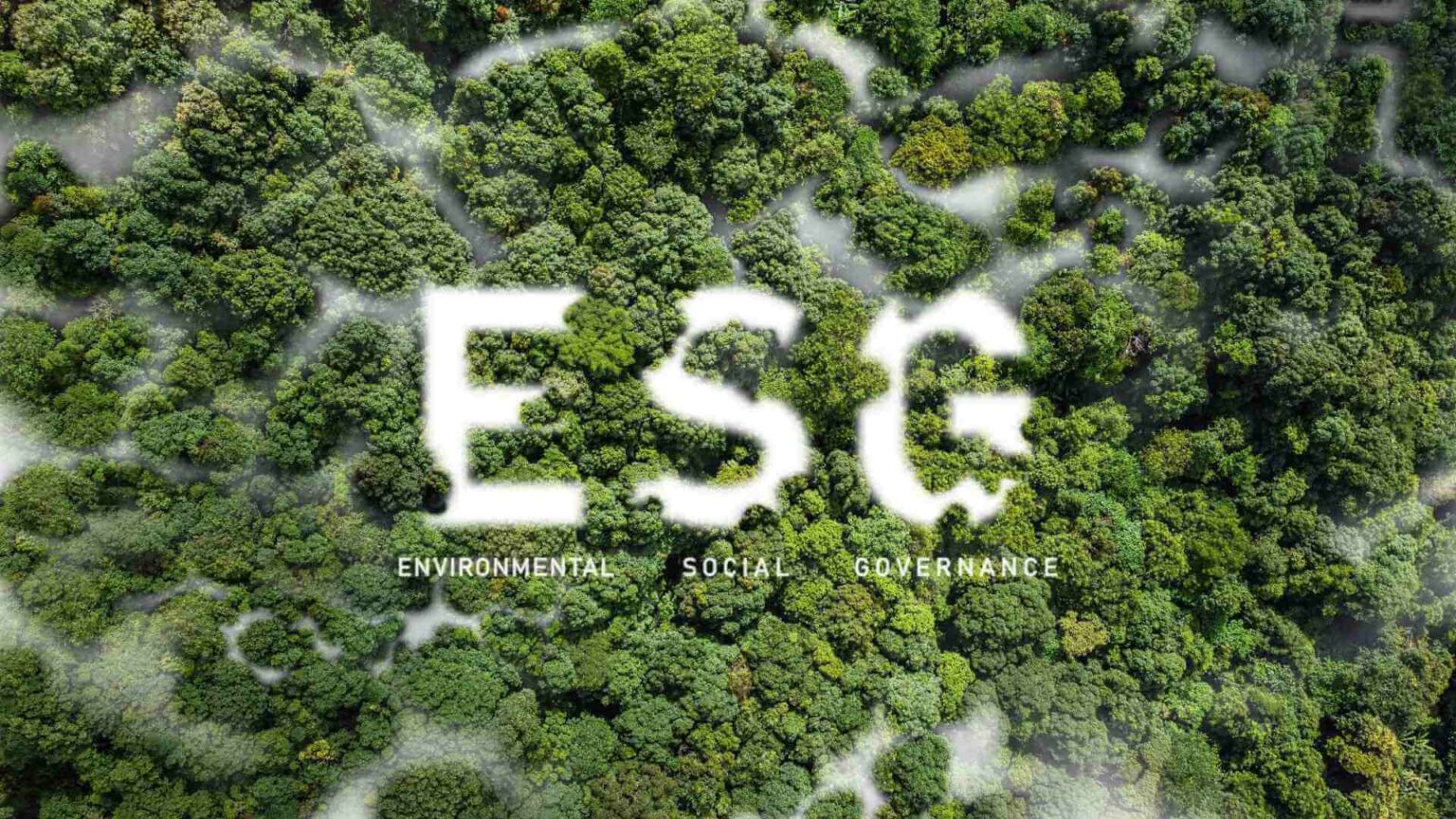 ESG: cos'è, criteri e guida agli investimenti sostenibili